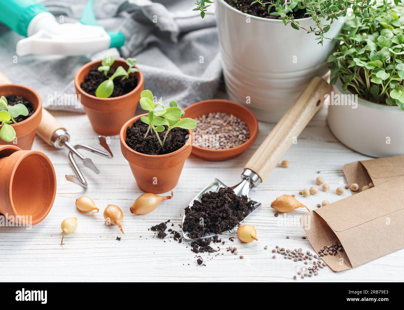 Gardening concept, planting at home. Set of gardening tools and ...