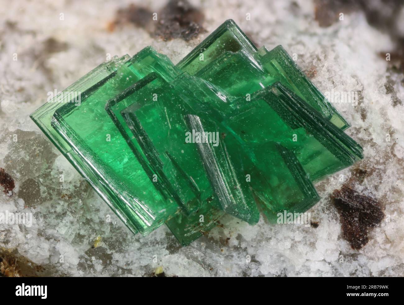 Torbernite - Musonoi Mine, Kolwezi, Lualaba, DR Congo - 2.22 mm group ...