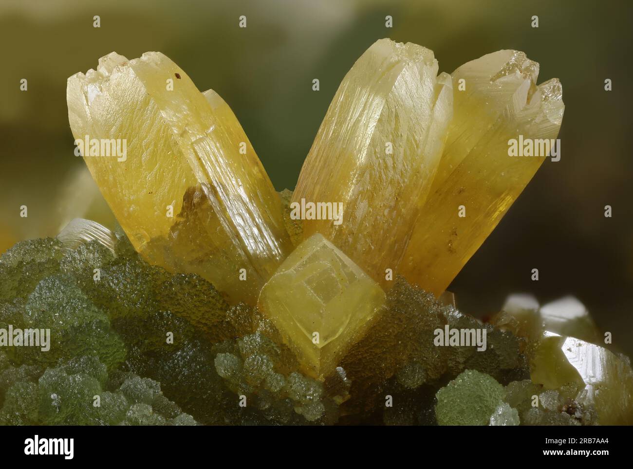Wulfenite - Ojuela Mine, Mapimí, Mapimí Municipality, Durango, Mexico ...