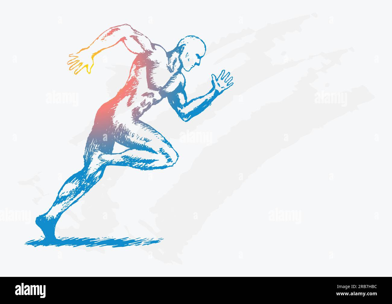 Human anatomy running Stock Vector Images - Alamy