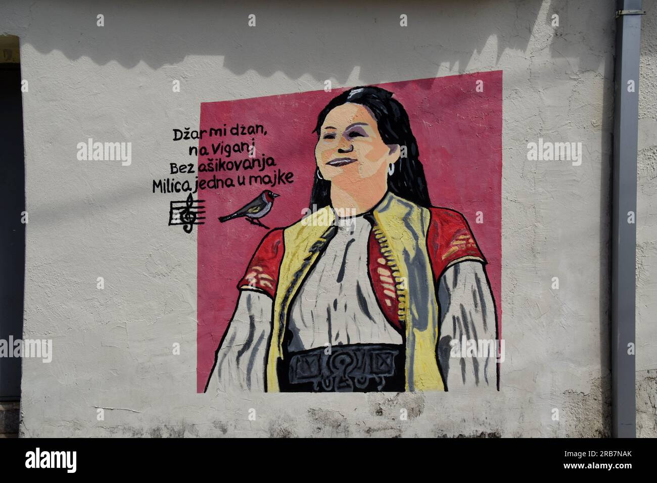 Mural street art in the narrow streets of Stara Varos, the old city ...