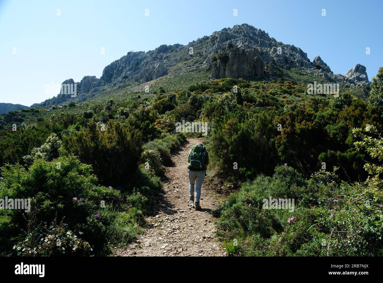 The path to the Montalbo mountains Stock Photo - Alamy