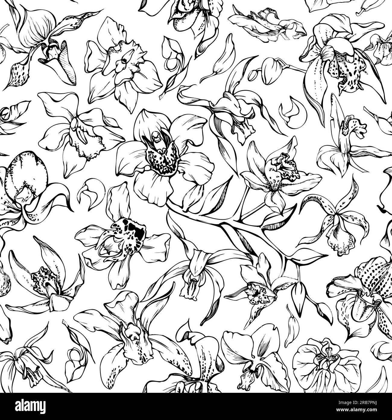 Hand drawn vector ink orchid flowers and branches, monochrome, detailed ...