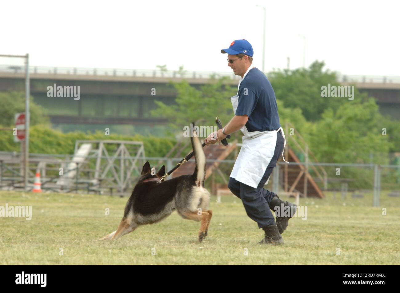 Law enforcement canine exercises on the occasion of the U.S. Park ...