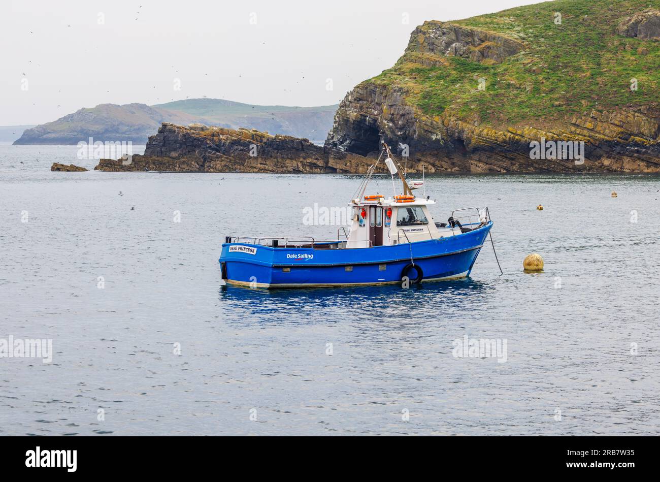 Ferry 'Dale Princess' anchored off North Haven at Skomer Island on the ...