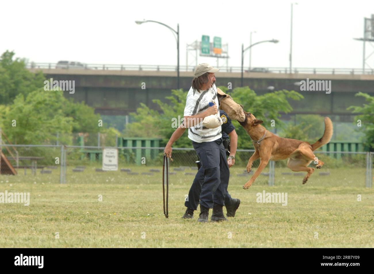 Law enforcement canine exercises on the occasion of the U.S. Park ...
