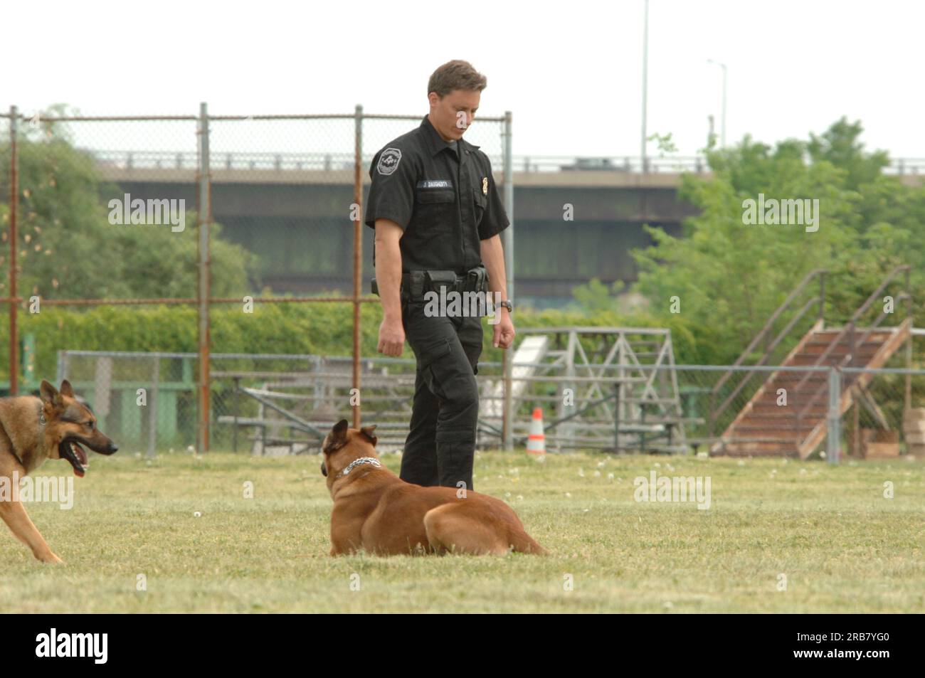 Law enforcement canine exercises on the occasion of the U.S. Park ...
