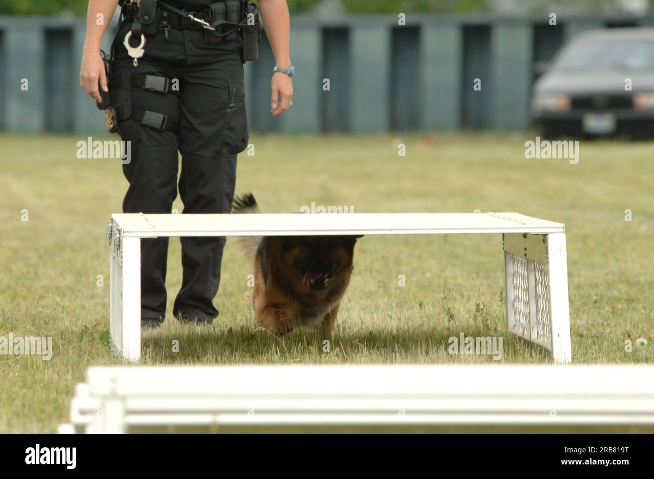 Law enforcement canine exercises on the occasion of the U.S. Park ...