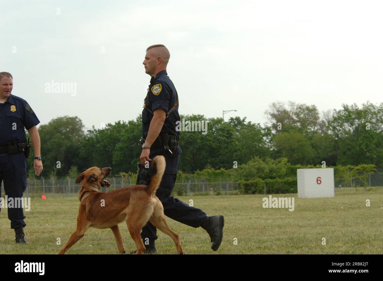 Law enforcement canine exercises on the occasion of the U.S. Park ...