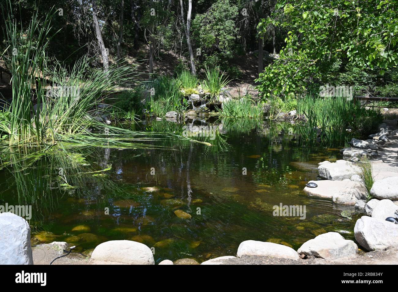 Water feature at an American botanical gardens Stock Photo - Alamy