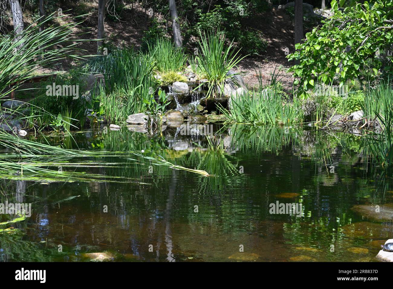 Water feature at an American botanical gardens Stock Photo - Alamy