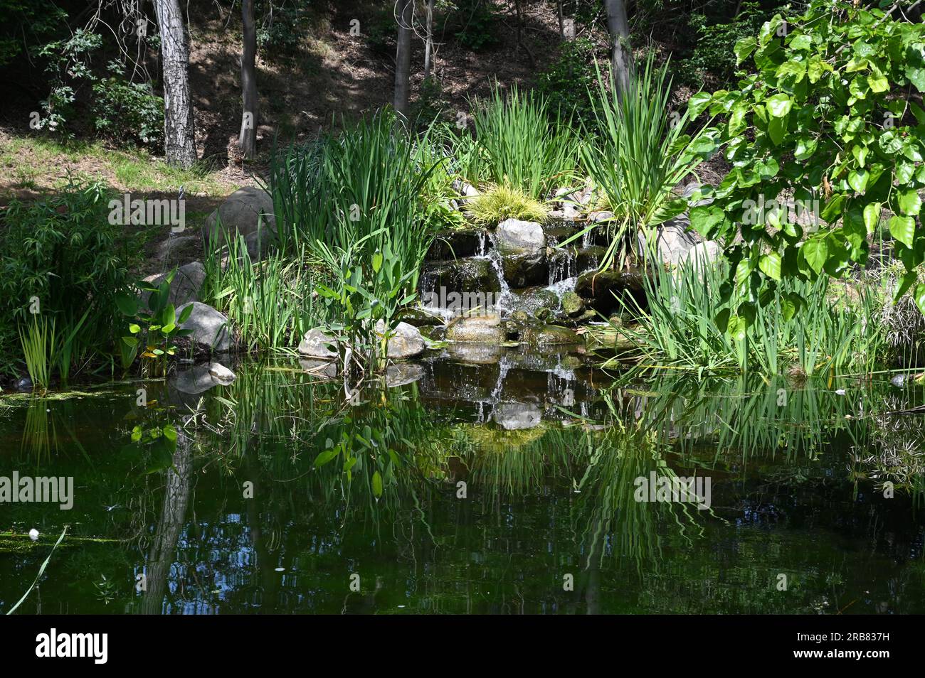 Water feature at an American botanical gardens Stock Photo - Alamy