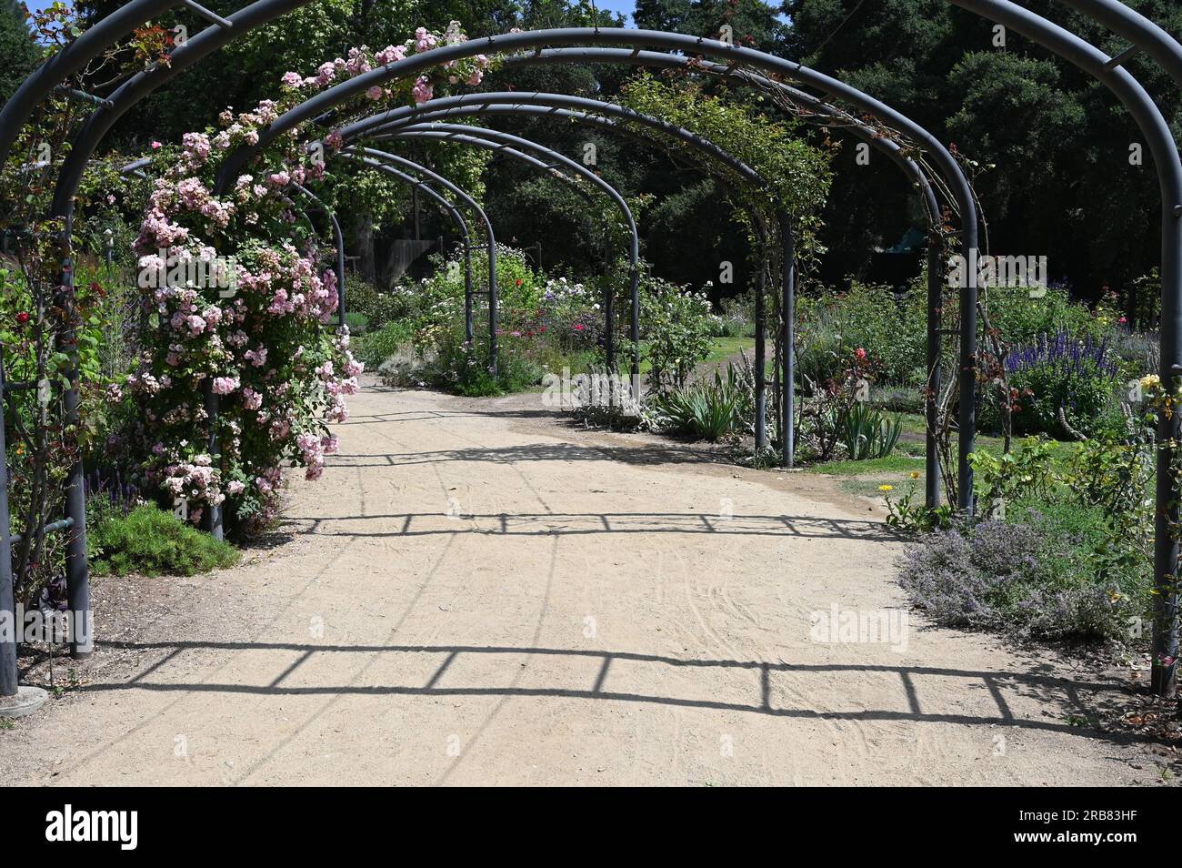 Pathway through a botanical garden in Los Angeles Stock Photo - Alamy