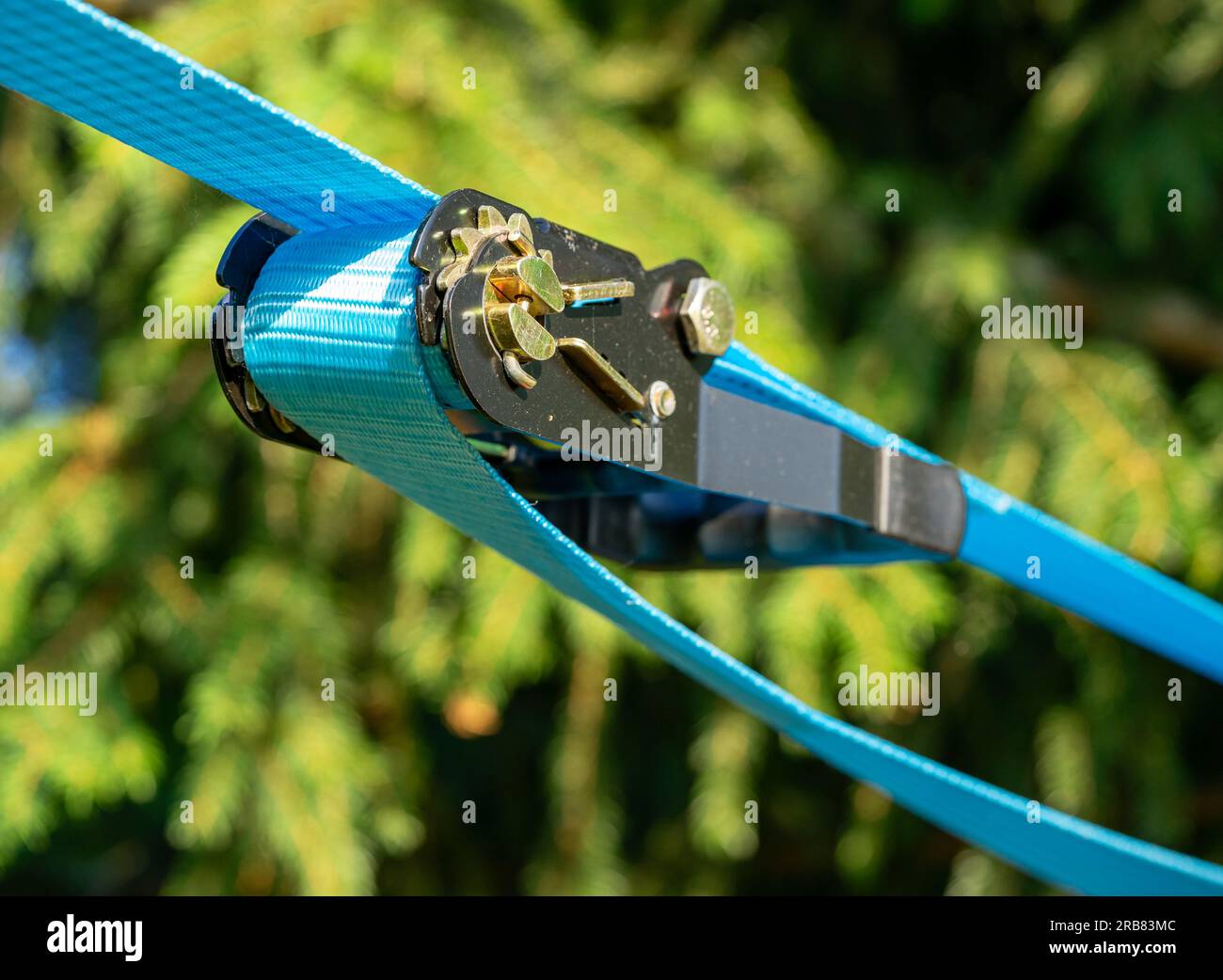 Tight belt hi-res stock photography and images - Alamy
