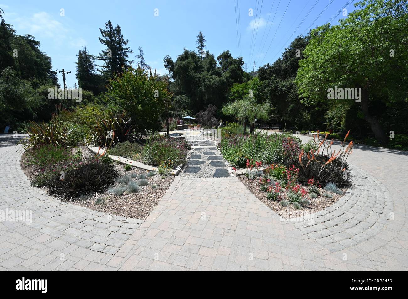Pathway through a botanical garden in Los Angeles Stock Photo - Alamy