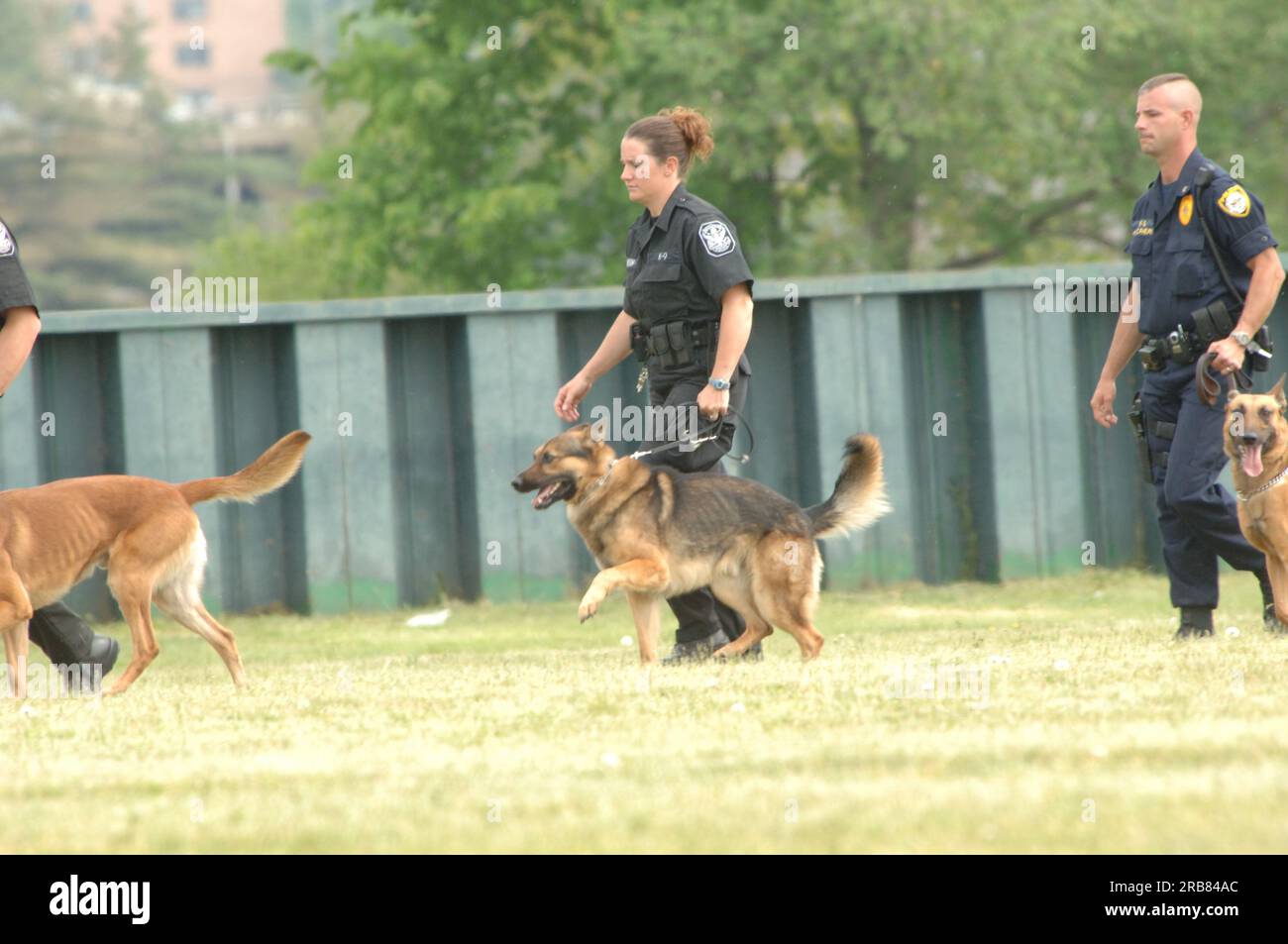 Law enforcement canine exercises on the occasion of the U.S. Park ...