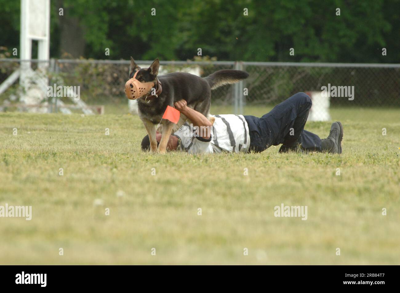 Law enforcement canine exercises on the occasion of the U.S. Park ...