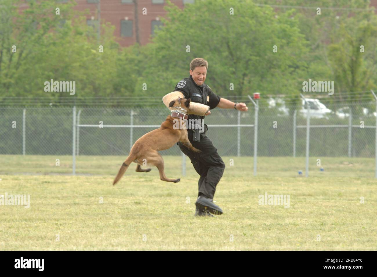 Law enforcement canine exercises on the occasion of the U.S. Park ...