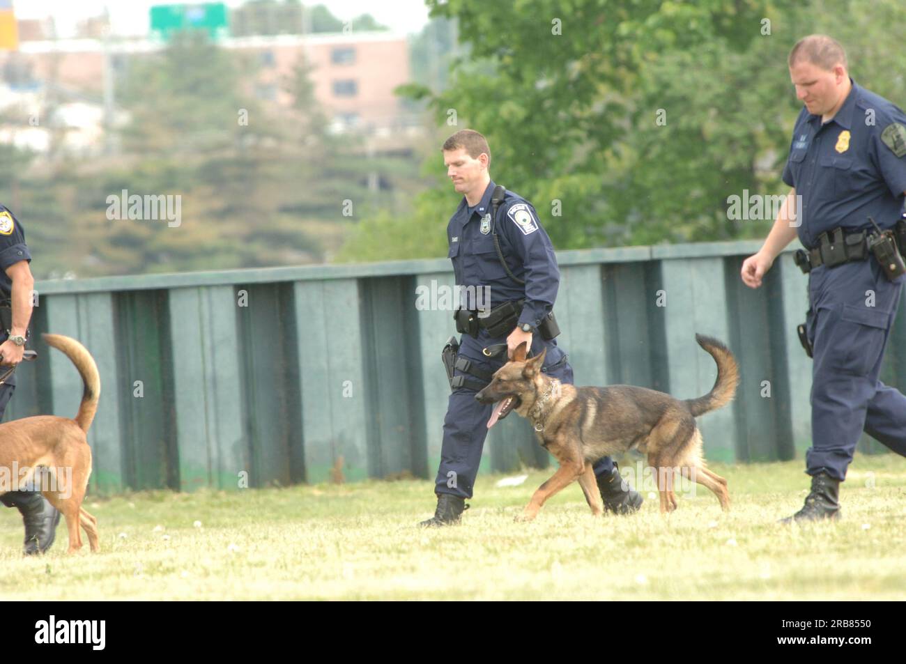 Law enforcement canine exercises on the occasion of the U.S. Park ...
