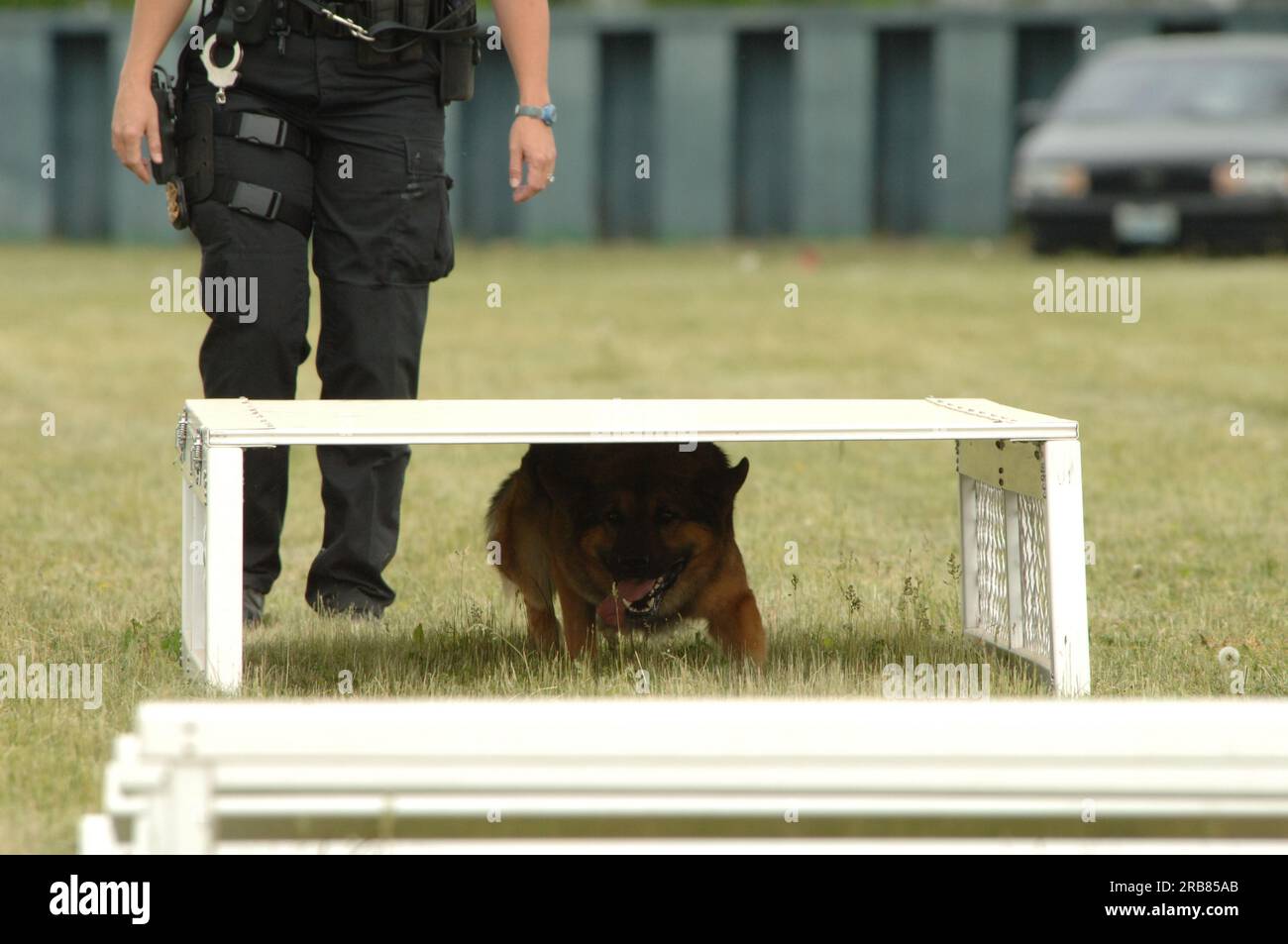 Law enforcement canine exercises on the occasion of the U.S. Park ...