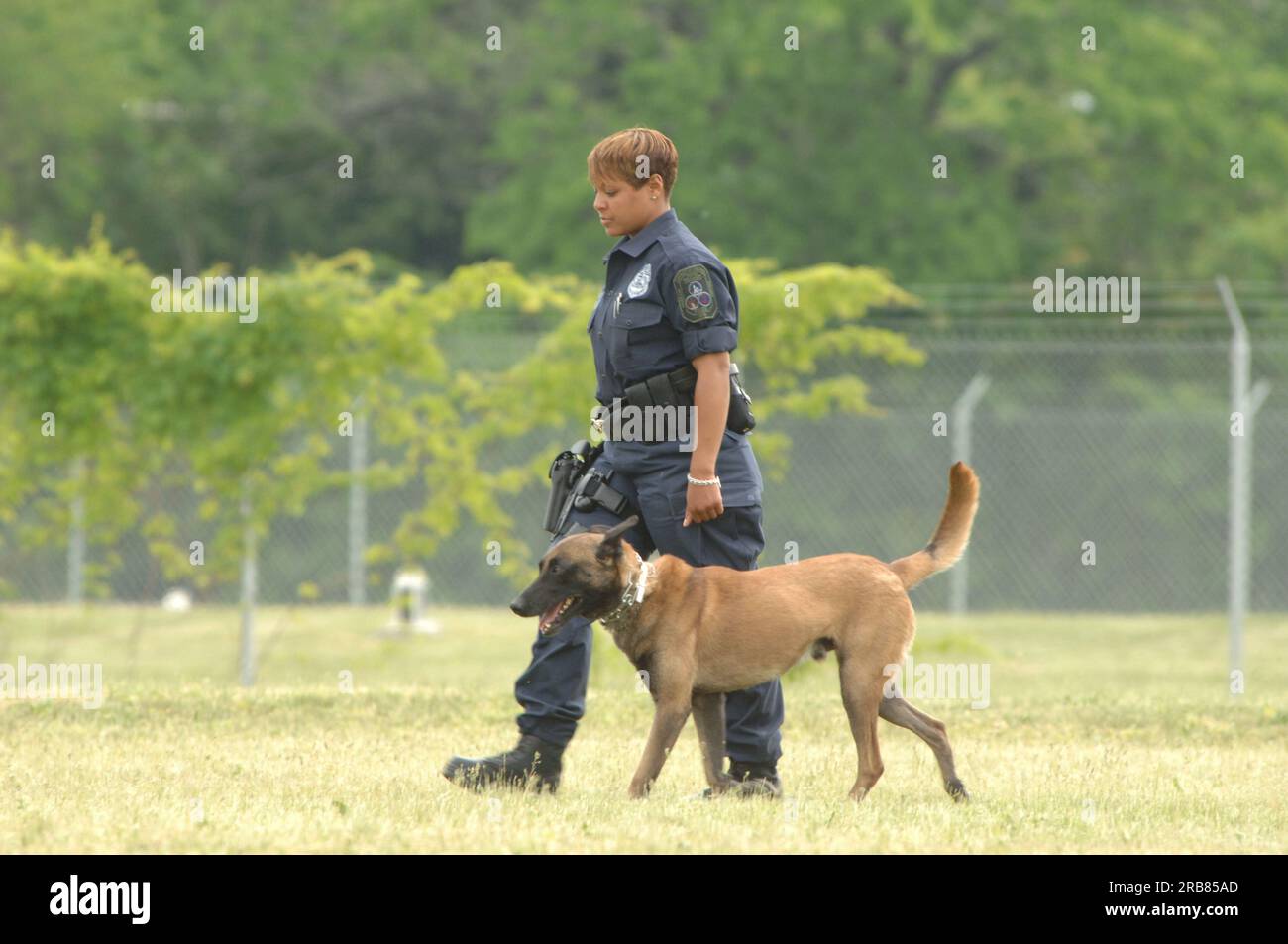 Law enforcement canine exercises on the occasion of the U.S. Park ...