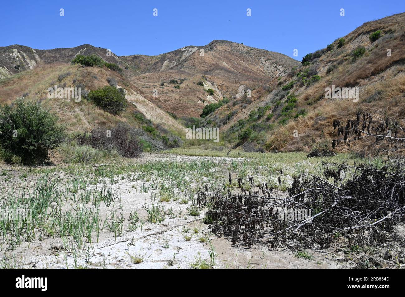 A dry tributary of Lake Piru reservoir located in Los Padres National ...