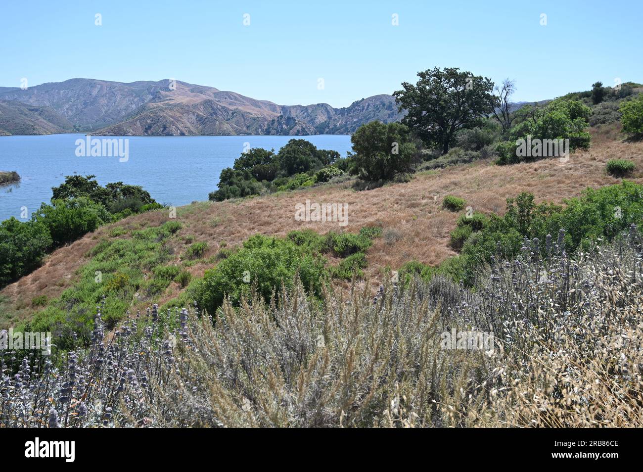 Lake Piru reservoir located in Los Padres National Forest and Topatopa ...