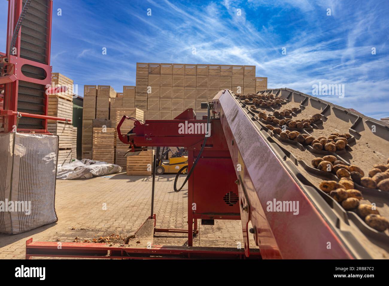 Potato sorting, processing and packing factory. Africultural industry ...
