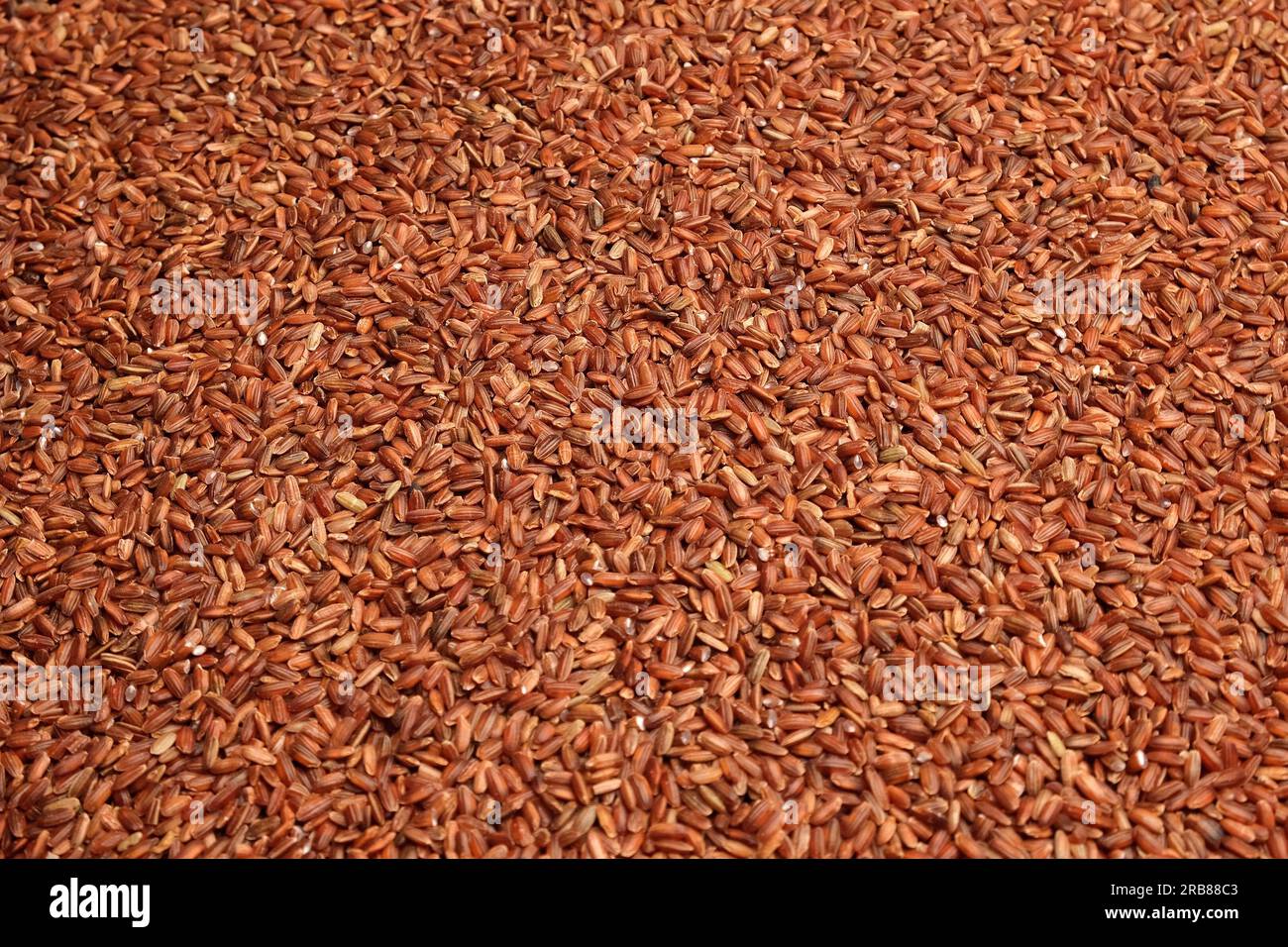 Uncooked Red Rice Wallpaper. Long Brown Rice Surface. Close Up. Grains ...