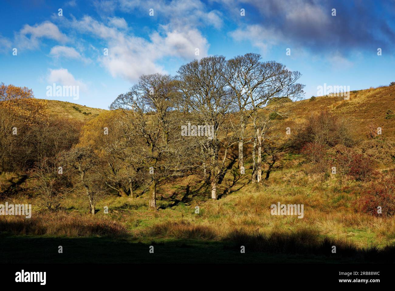 Deeply vale hi-res stock photography and images - Alamy