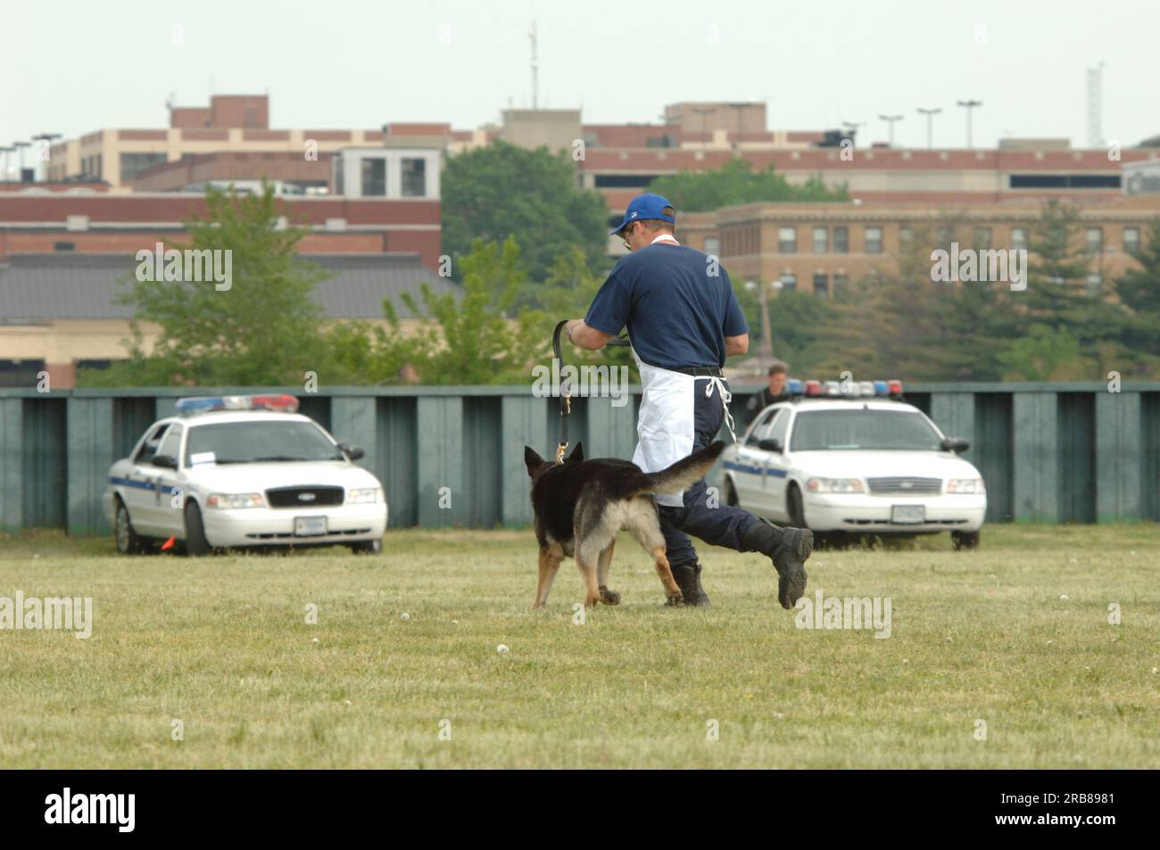 Law enforcement canine exercises on the occasion of the U.S. Park ...