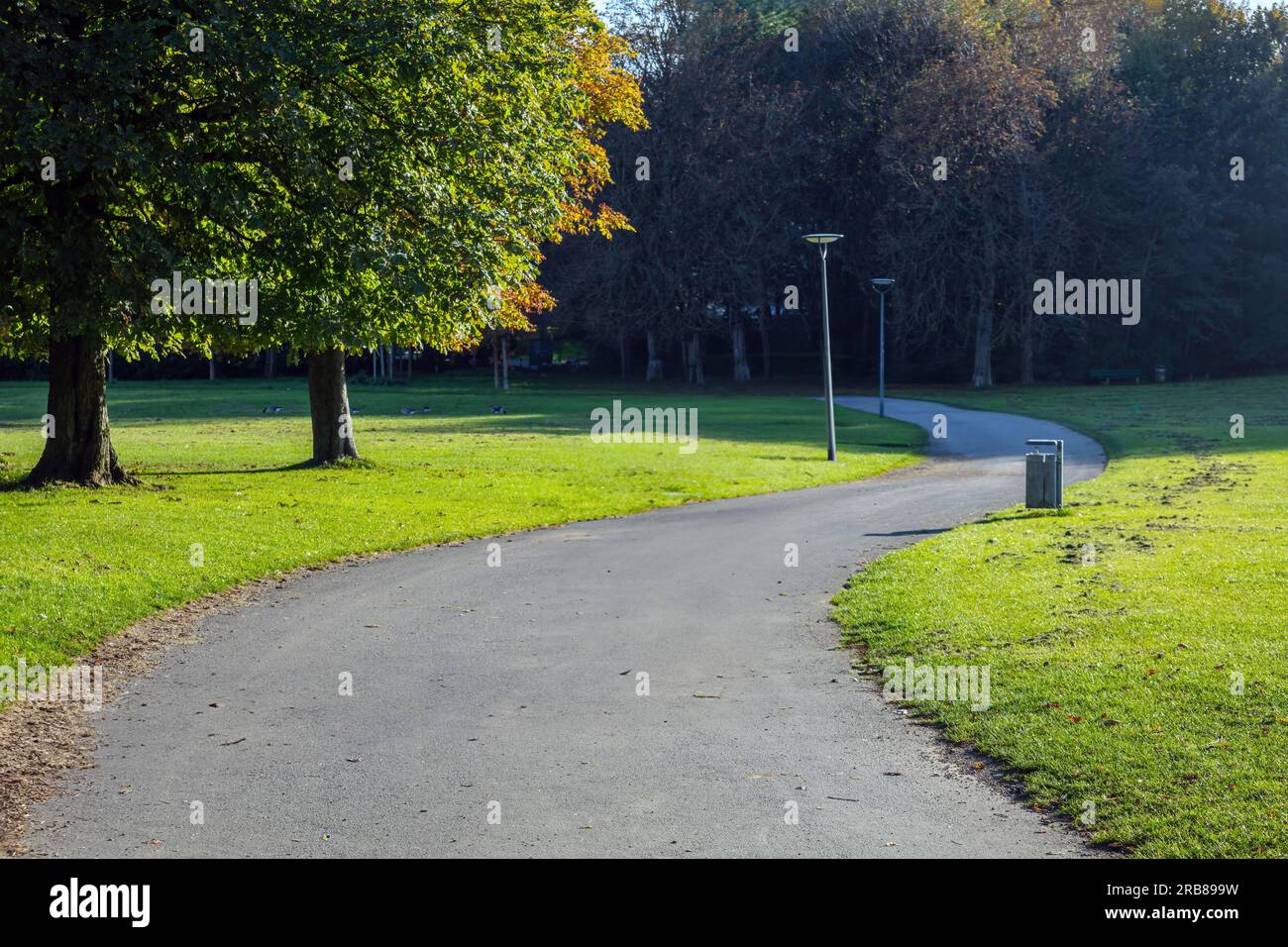 Empty park path with falling leaf in Germany, Munich, destination ...