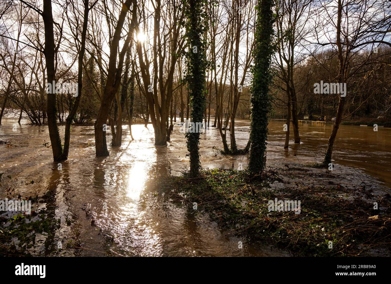 River Don at Sprotbrough in flood Stock Photo - Alamy