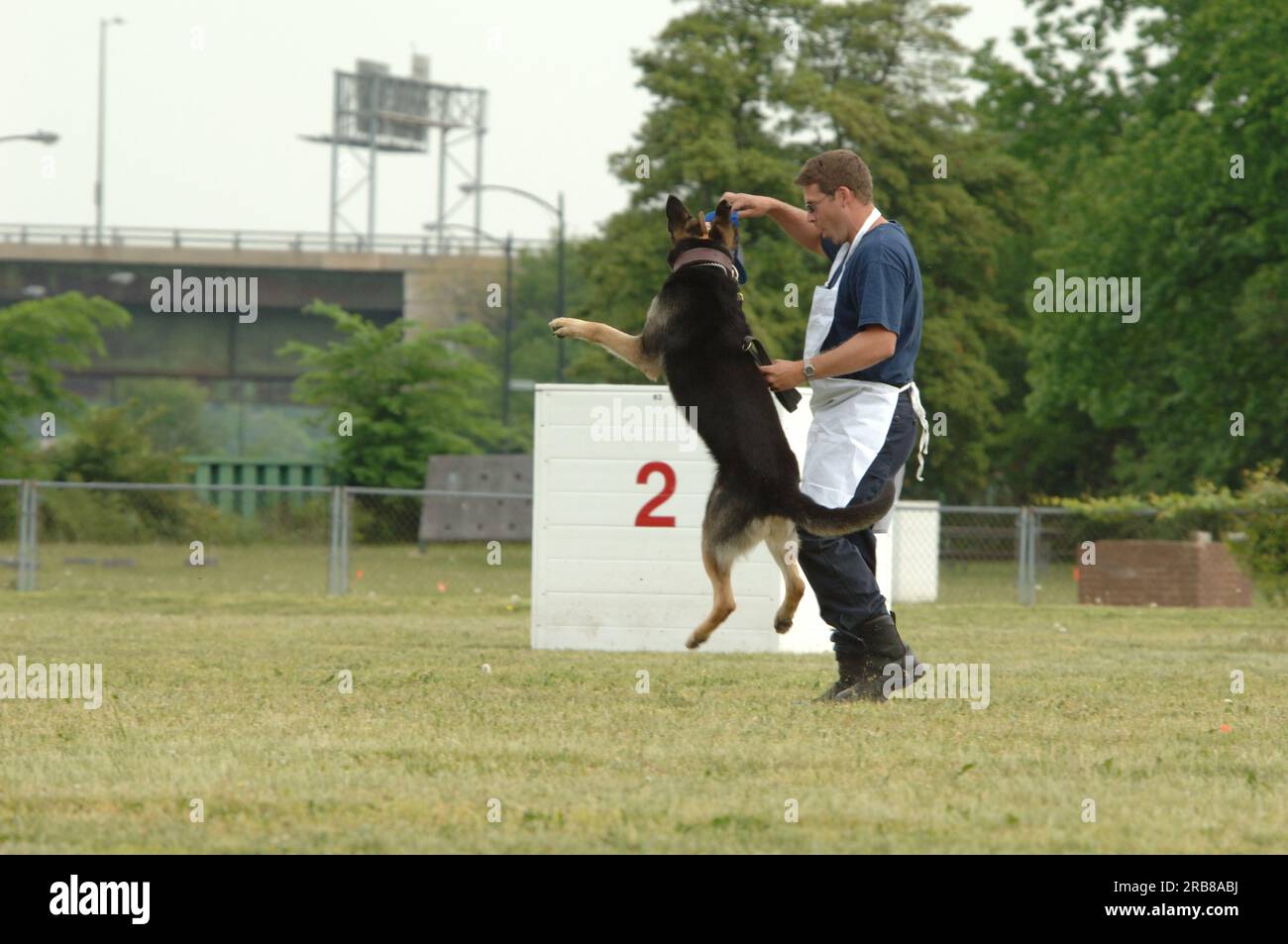 Law enforcement canine exercises on the occasion of the U.S. Park ...