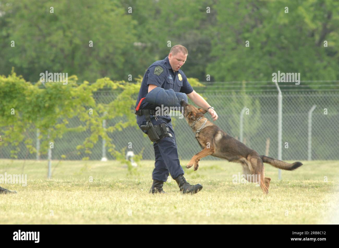 Law enforcement canine exercises on the occasion of the U.S. Park ...