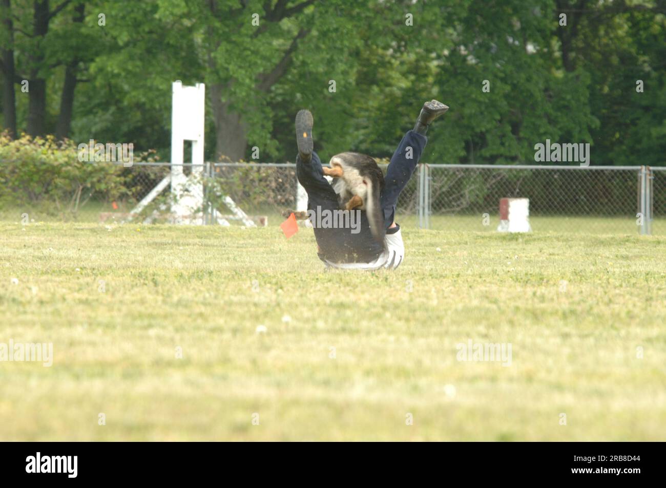 Law enforcement canine exercises on the occasion of the U.S. Park ...
