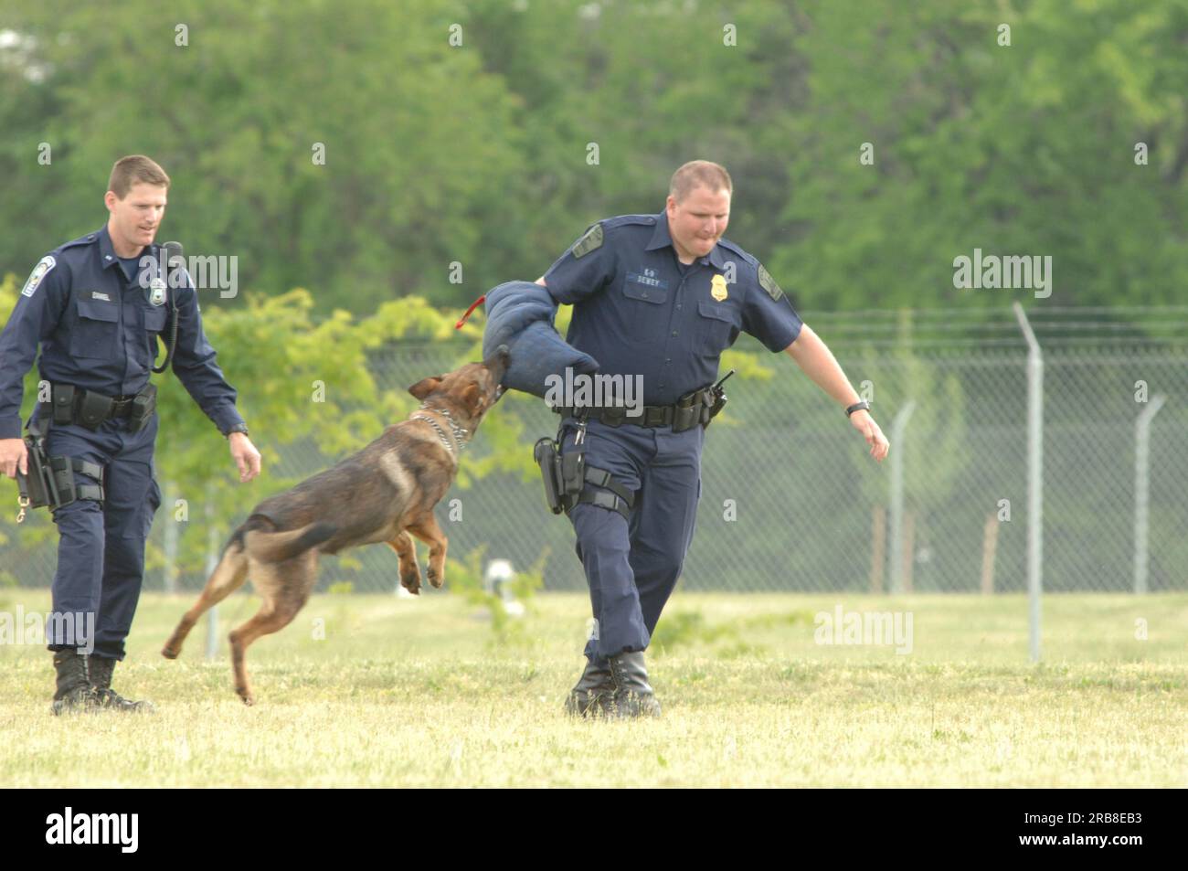 Law enforcement canine exercises on the occasion of the U.S. Park ...