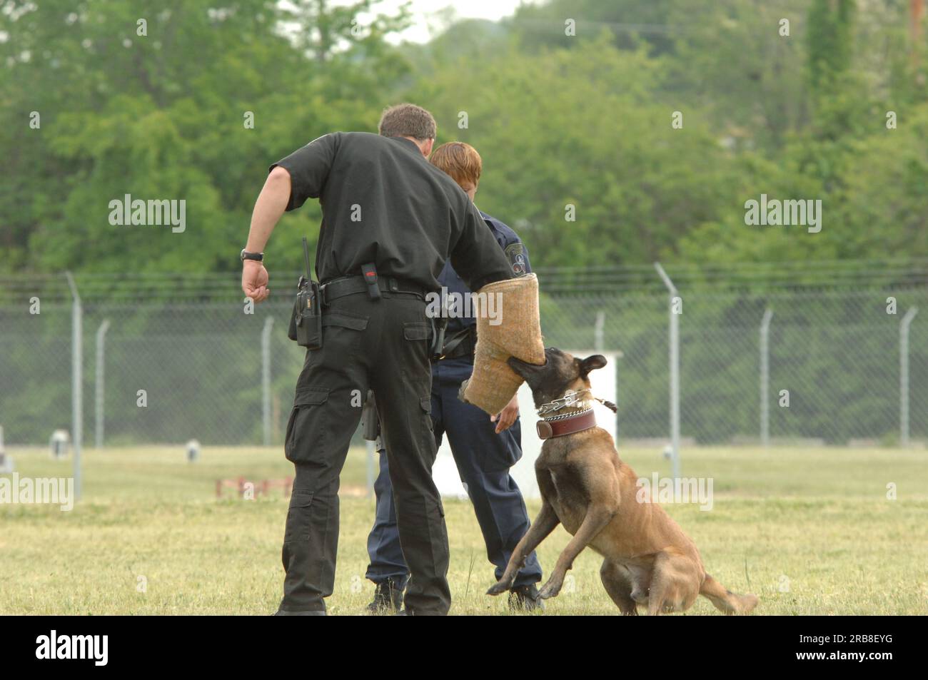 Law enforcement canine exercises on the occasion of the U.S. Park ...