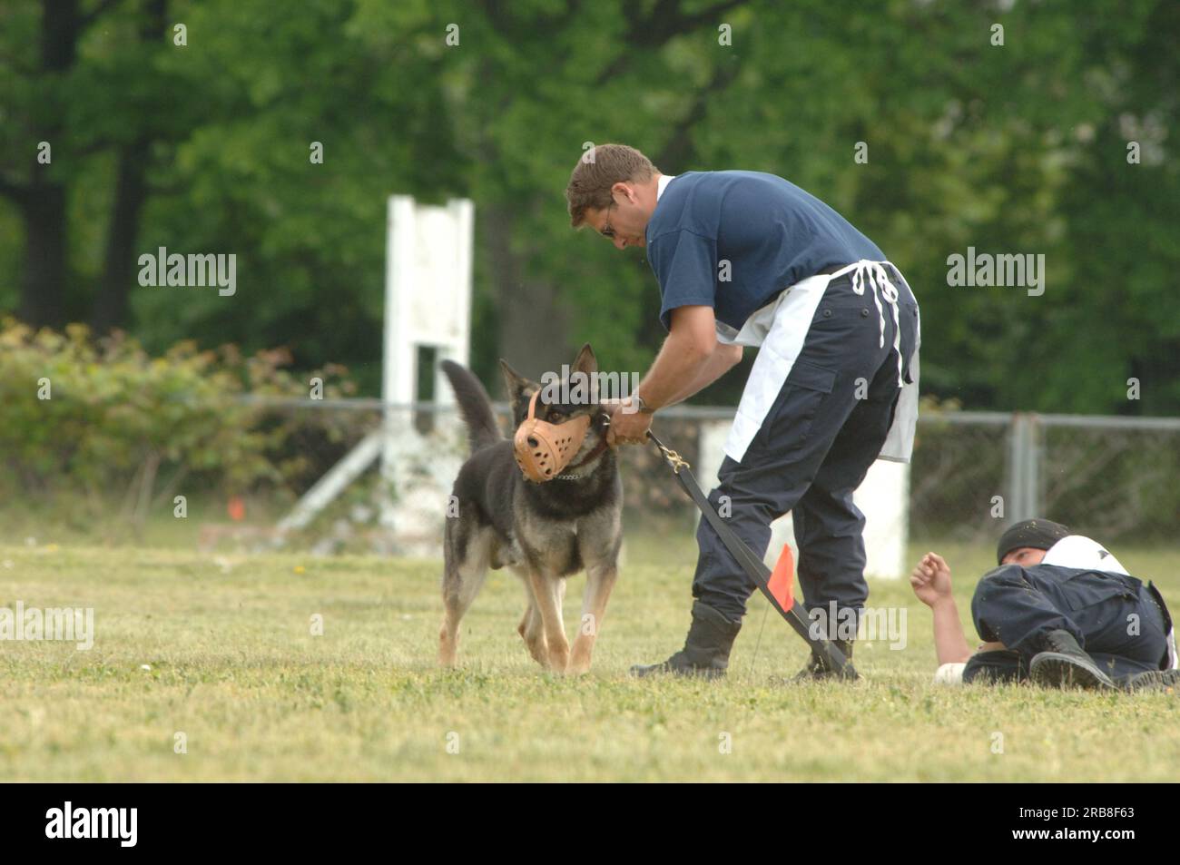 Law enforcement canine exercises on the occasion of the U.S. Park ...