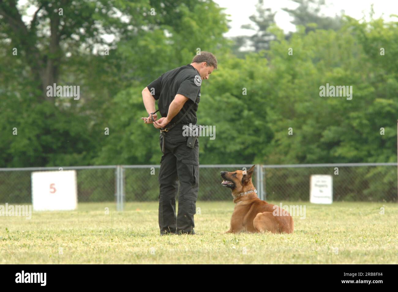 Law enforcement canine exercises on the occasion of the U.S. Park ...