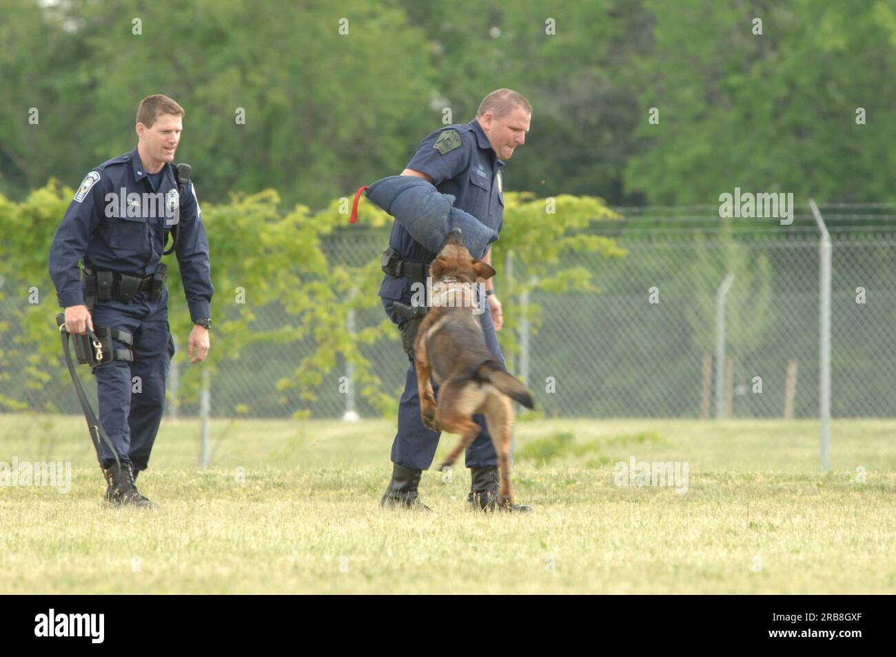 Law enforcement canine exercises on the occasion of the U.S. Park ...