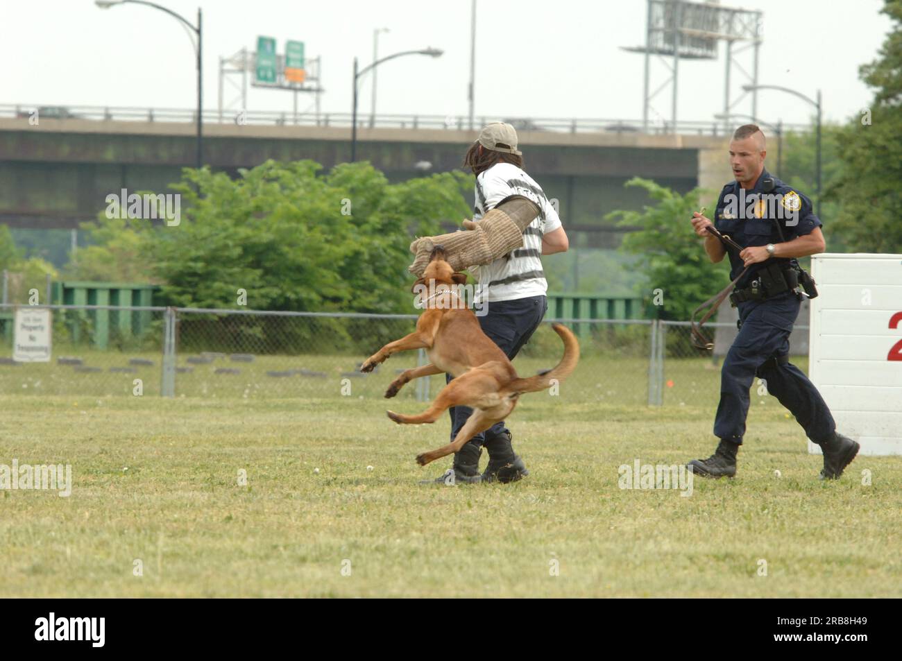 Law enforcement canine exercises on the occasion of the U.S. Park ...