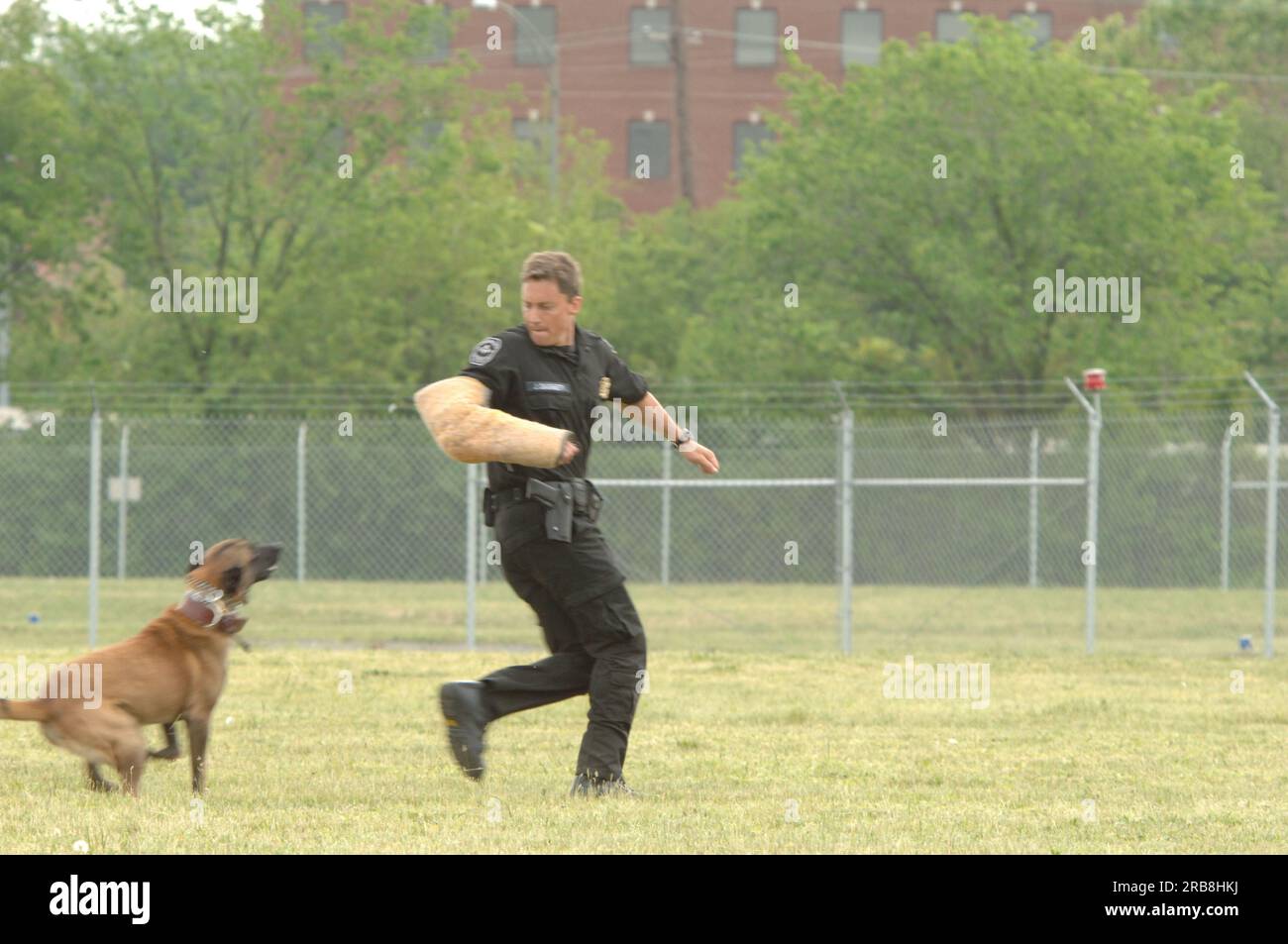 Law enforcement canine exercises on the occasion of the U.S. Park ...