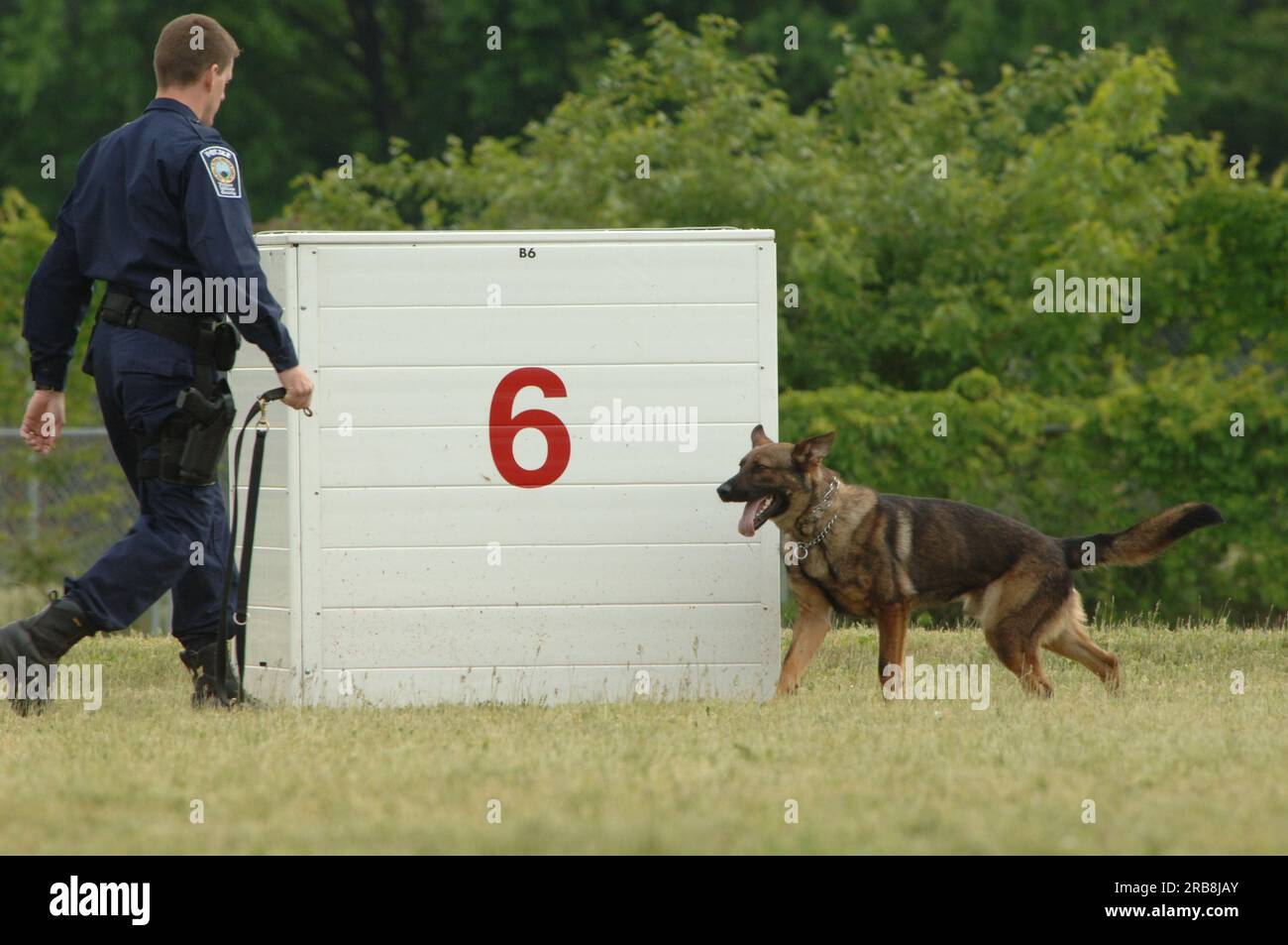 Law enforcement canine exercises on the occasion of the U.S. Park ...