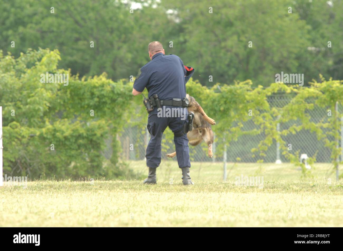 Law enforcement canine exercises on the occasion of the U.S. Park ...