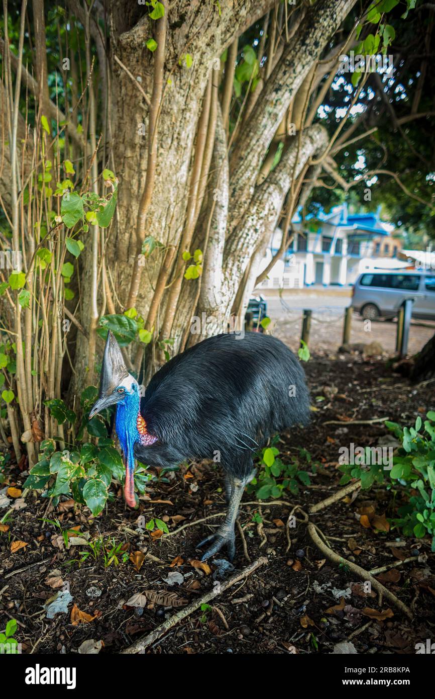 Etty bay caravan park australia hi-res stock photography and images - Alamy