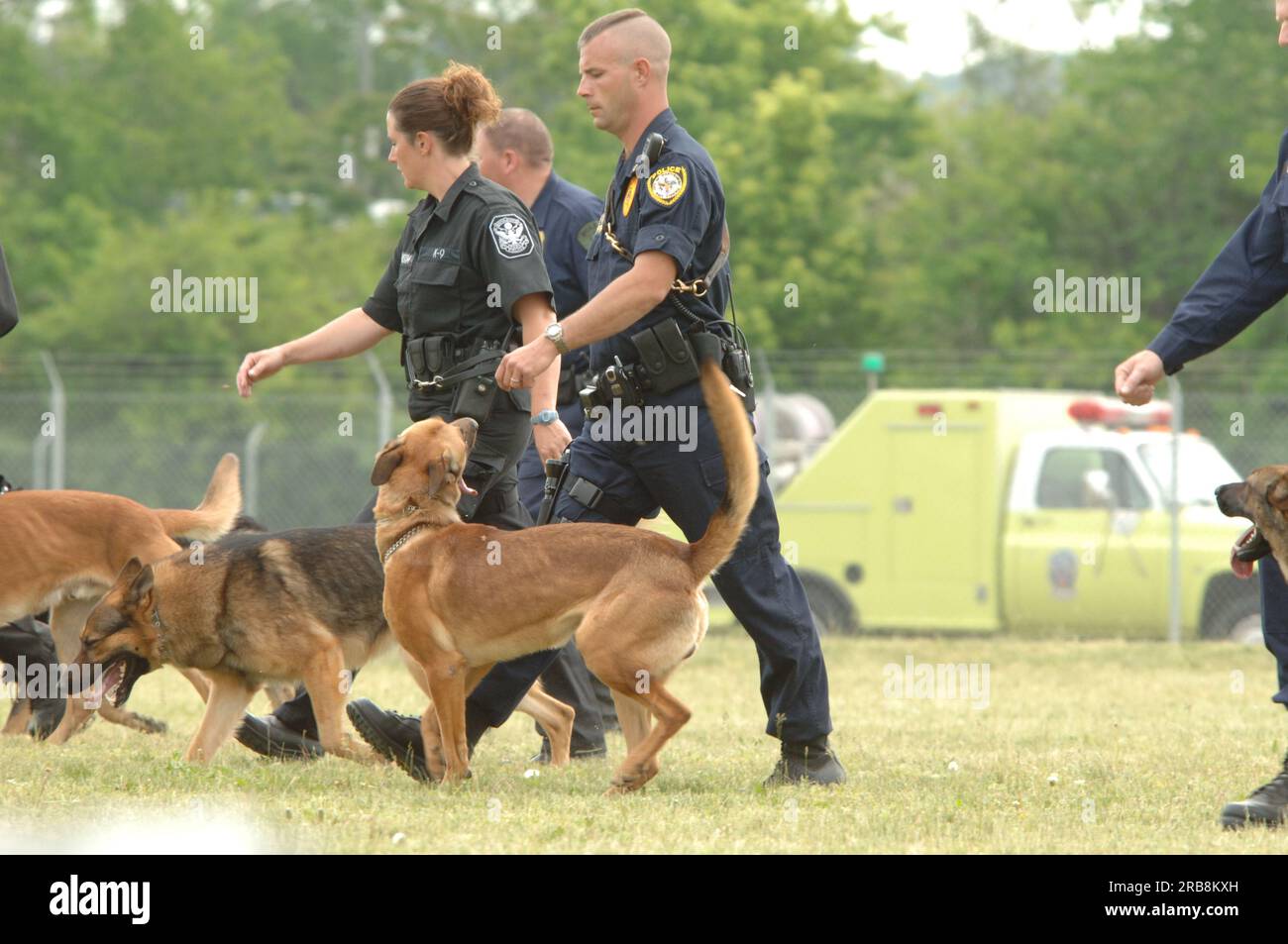 Law enforcement canine exercises on the occasion of the U.S. Park ...