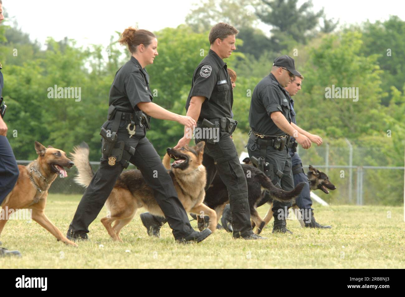 Law enforcement canine exercises on the occasion of the U.S. Park ...