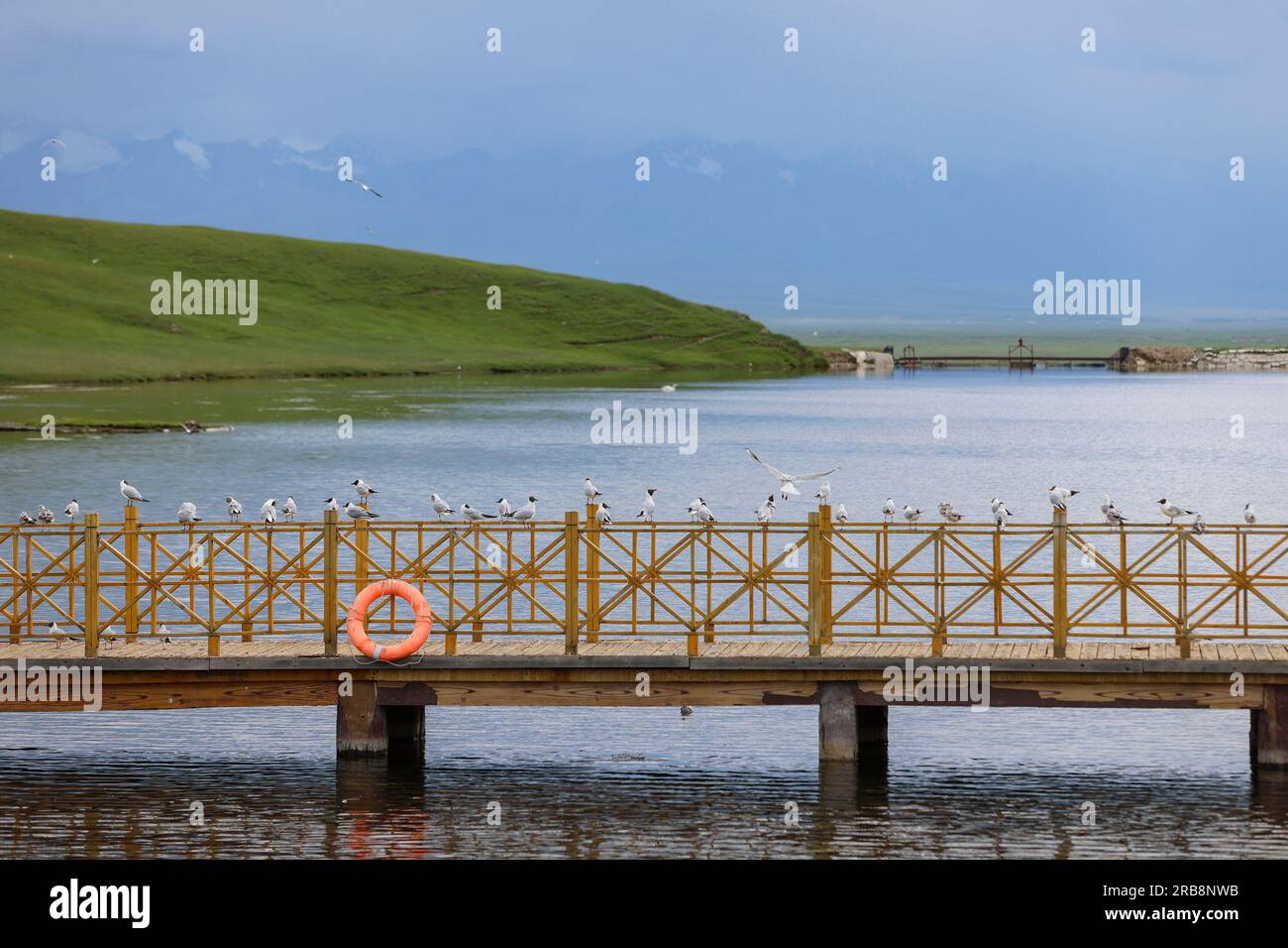 Hejing. 6th July, 2023. This photo taken on July 6, 2023 shows a ...