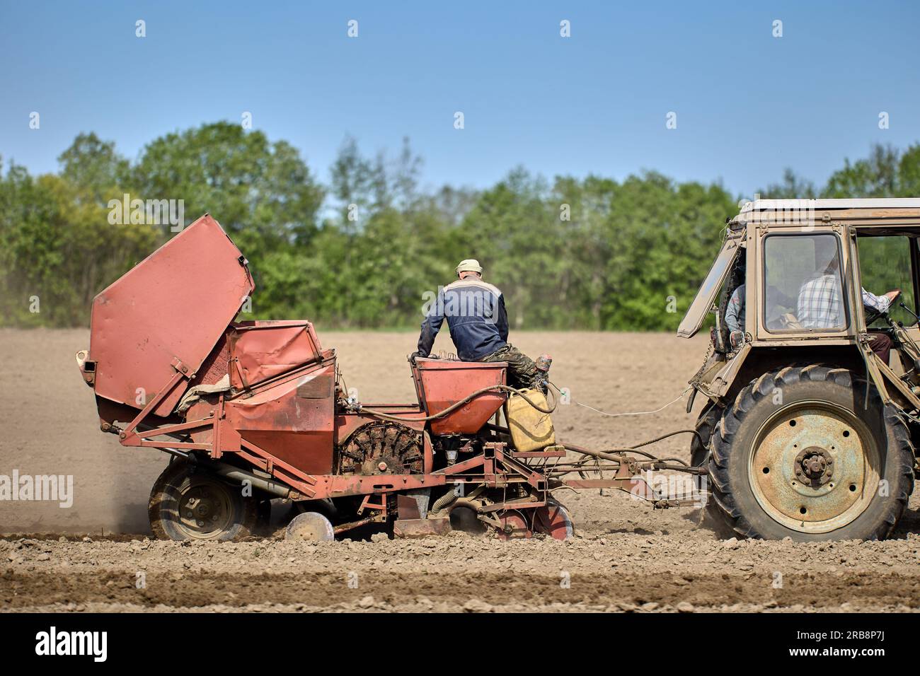 Potato planter hitched to wheeled tractor is planting potatoes in field ...